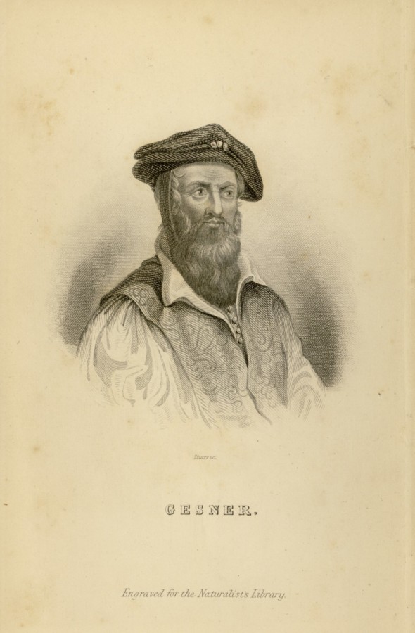 Conrad Gesner | Gesneriad Reference Web